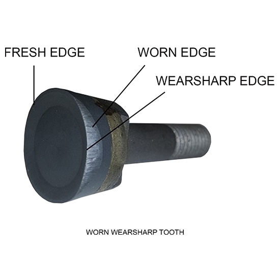 Greenteeth Wearsharp 700 Series | (Set of 8) Stump Grinder Tooth w/Nut ...